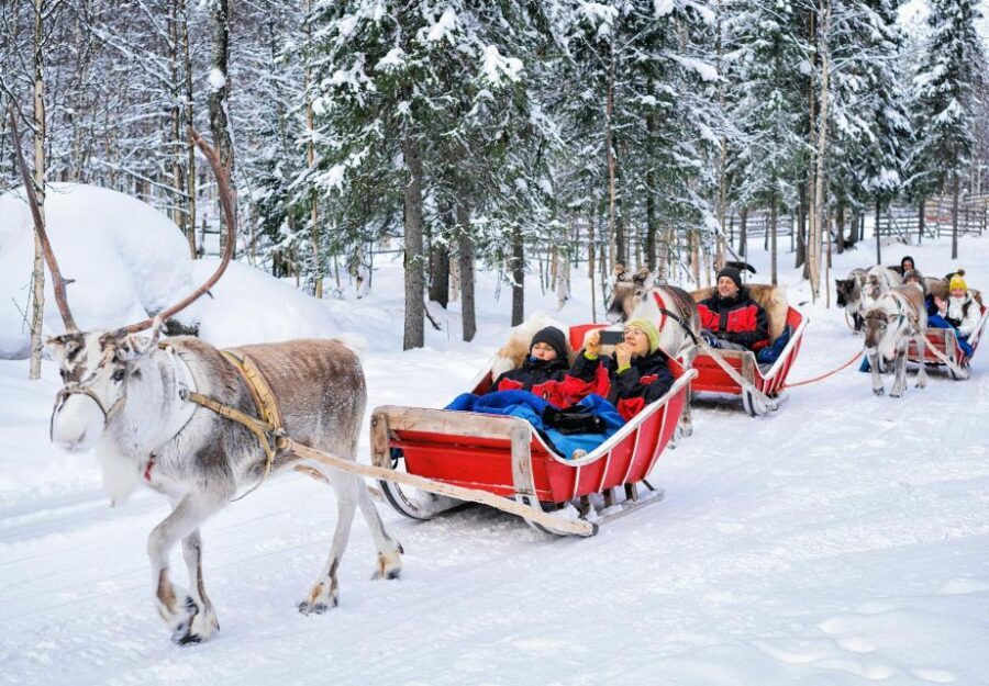 Rovaniemi: Authentic Reindeer Farm Visit & Short Sleigh Ride - The Sum Up: Is This Tour Worth It?