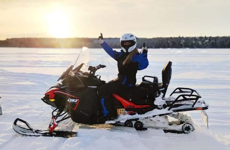 Rovaniemi: Drive New 2025 Snowmobiles on Arctic Safari & BBQ - The Value for Money