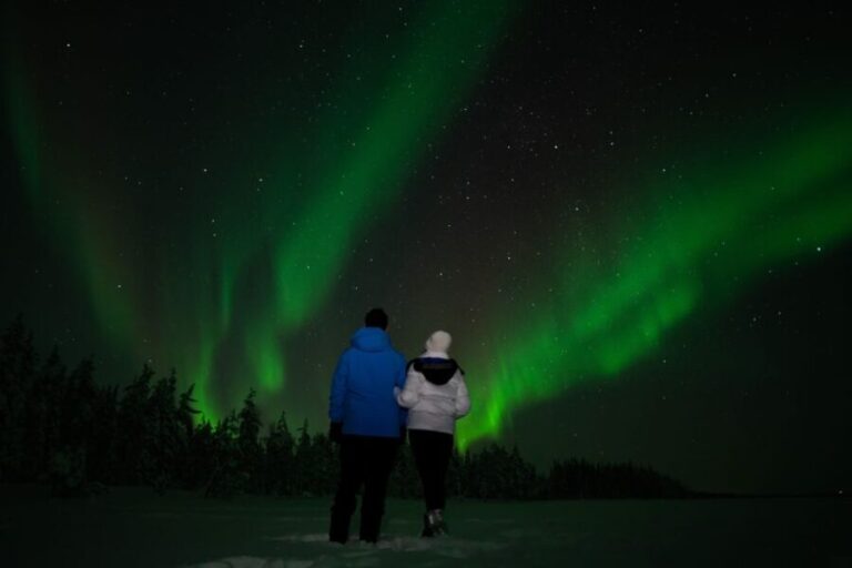 Rovaniemi: Guided Northern Lights Tour - An In-Depth Look at the Rovaniemi Northern Lights Tour