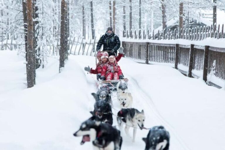 Rovaniemi: Meet Santa's Most Trusted Husky Dogs - The Itinerary in Detail