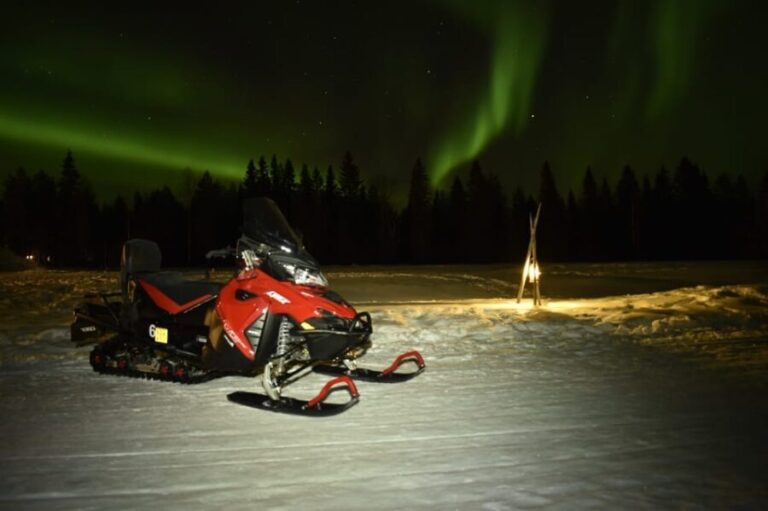 Rovaniemi: Night Snowmobile Tour - The Overview: What Makes This Tour Special