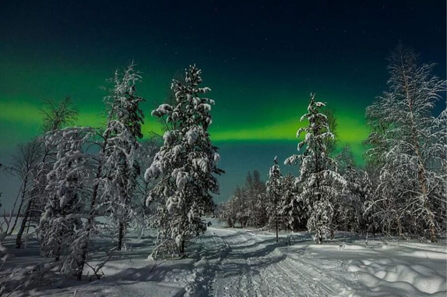 Rovaniemi: Northern Lights and Husky Sleigh Ride - Is It Worth the Price?