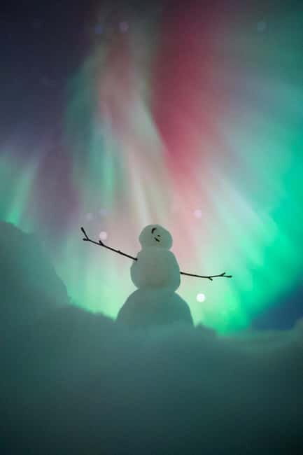 Rovaniemi: Northern Lights Group Tour with Guaranteed View - Is it worth the price?