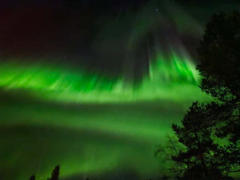 Rovaniemi: Northern Lights Hunters. Aurora + BBQ - The Practicalities: What to Know Before You Go