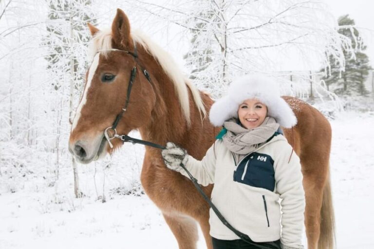 Rovaniemi: Riding Tour with Finnhorses at SCV - An Overview of the Experience