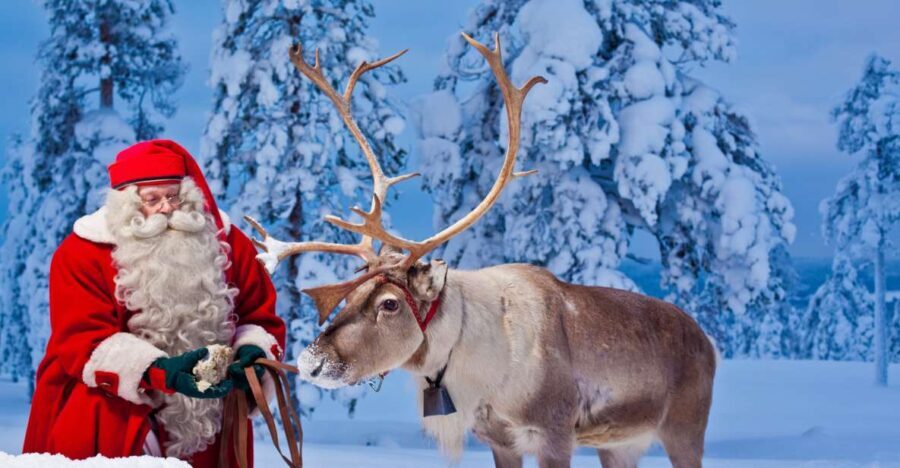 Rovaniemi: Santa Claus Village and Arctic Circle - The Value of This Tour