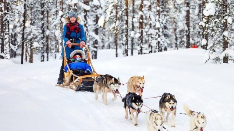 Rovaniemi: Santa Claus Village + Husky & Reindeer Sled Ride - Who Is This Tour Best For?