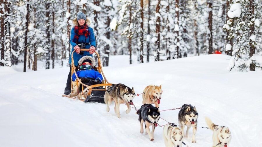 Rovaniemi: Santa Claus Village + Husky & Reindeer Sled Ride - Who Is This Tour Best For?