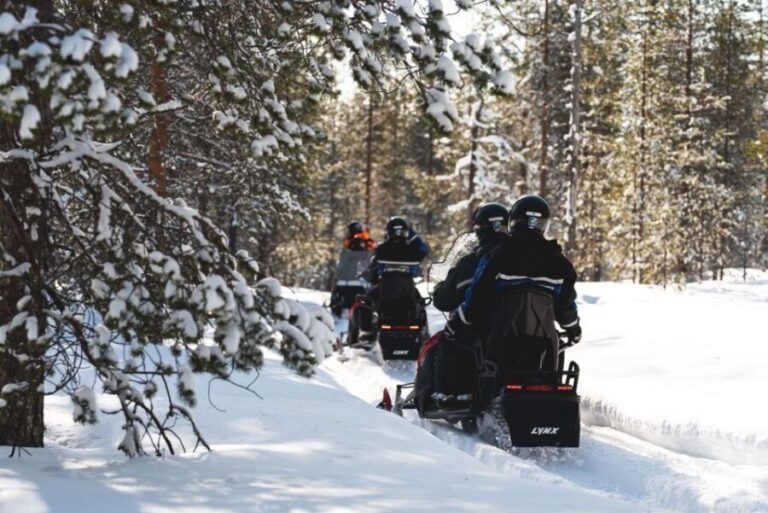 Rovaniemi: Snowmobile Adventure Tour for Adults Only - Evaluating the Value: Is It Worth the Price?
