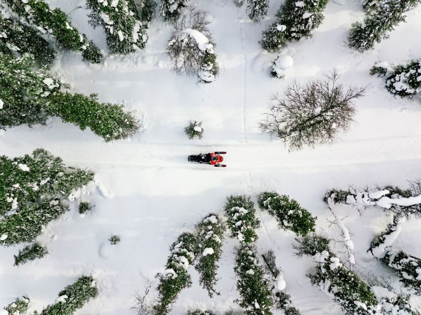 Rovaniemi: Snowmobile Safari Adventure - Value and Extras