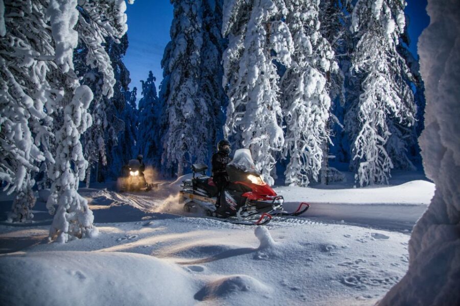 Rovaniemi: Snowmobile Safari & Campfire Evening Escape - What Makes This Tour Stand Out?