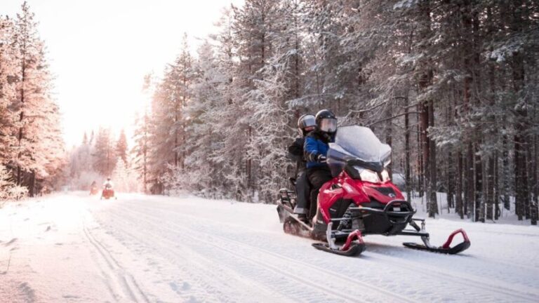 Rovaniemi: Snowmobile Safari into the Arctic Circle Forest - Why This Tour Offers Great Value