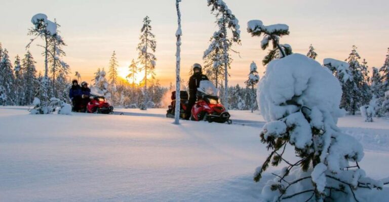 Rovaniemi: Snowmobile Safari to a Reindeer Farm - Authentic Experiences from Reviewers