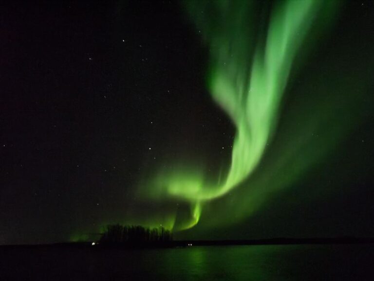 Rovaniemi: Traditional Sauna and Ice Swimming Experience - Who Will Love This Tour?