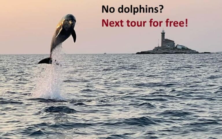Rovinj: Dolphin Watching Sunset Speedboat Tour with Drinks - In-Depth Look at the Experience