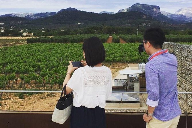 Sa Clasta Mallorca Wine Tours - Who Should Consider This Tour?