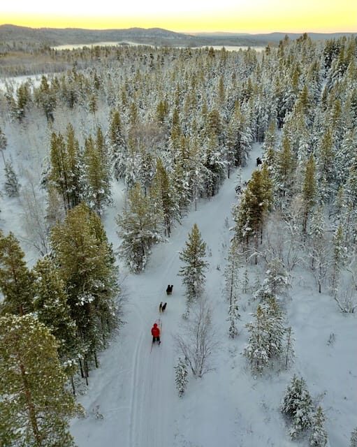 Saariselkä: 10KM Husky Safari with kennel visit - The Itinerary in Detail