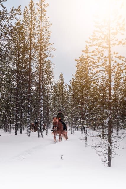 Saariselkä: Arctic Trail Horse Riding Tour - Authentic Experiences and Real Guest Insights