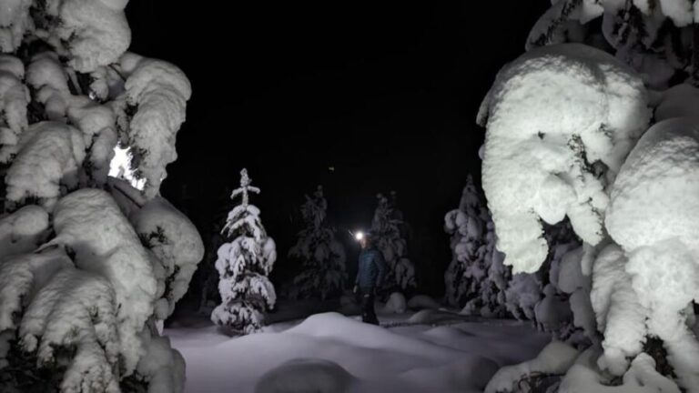Saariselkä: Snowshoeing Tour in Urho Kekkonen National Park - Pricing & Value