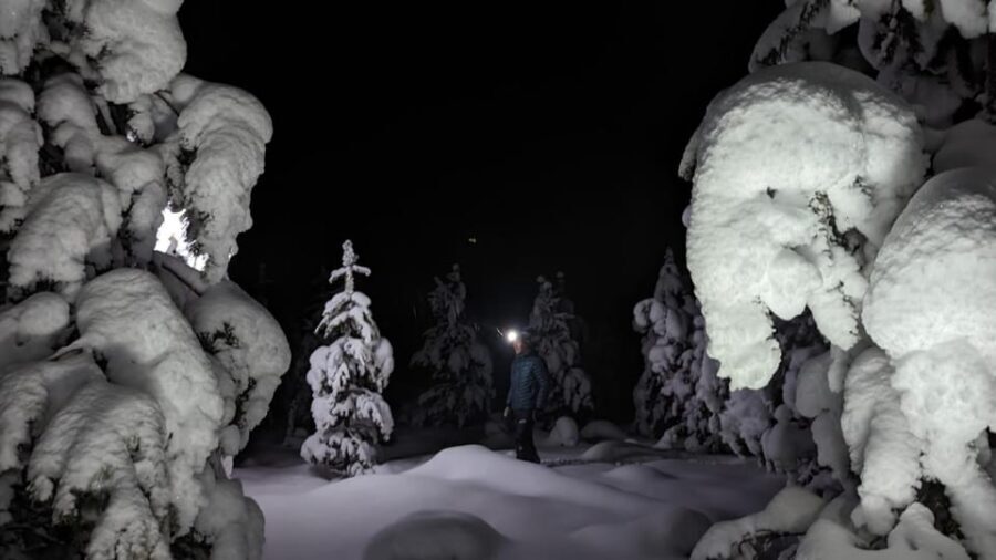 Saariselkä: Snowshoeing Tour in Urho Kekkonen National Park - Pricing & Value