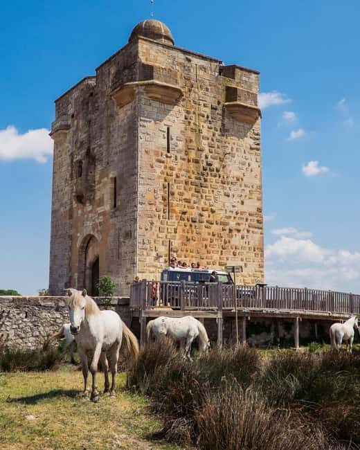 Safari 4x4 in Camargue / VIP Tour 3h30 / Grau du Roi - Itinerary Breakdown: What to Expect