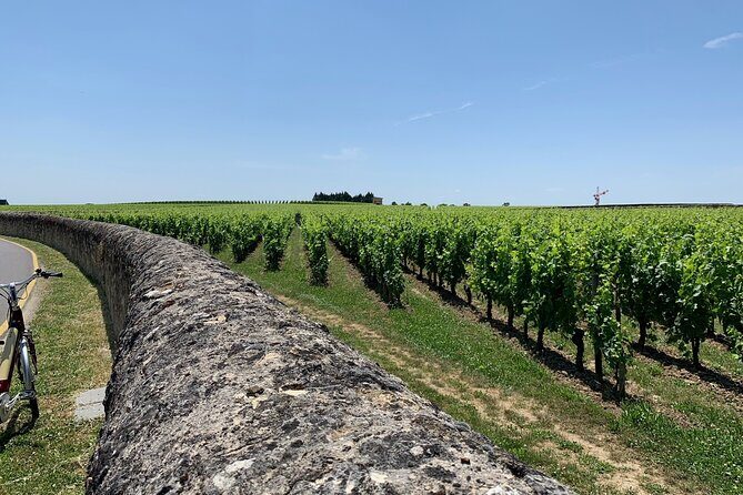 Saint-Emilion Afternoon Wine Tour - 2 Wineries & delicacies - The Value of This Tour