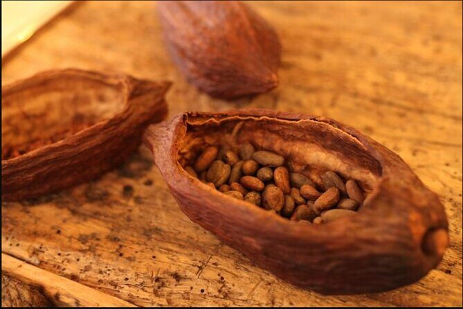 Saint-Germain The Original Chocolate Tasting Tour with Pastries and Macaron - Authentic Experiences and Highlights from Reviews