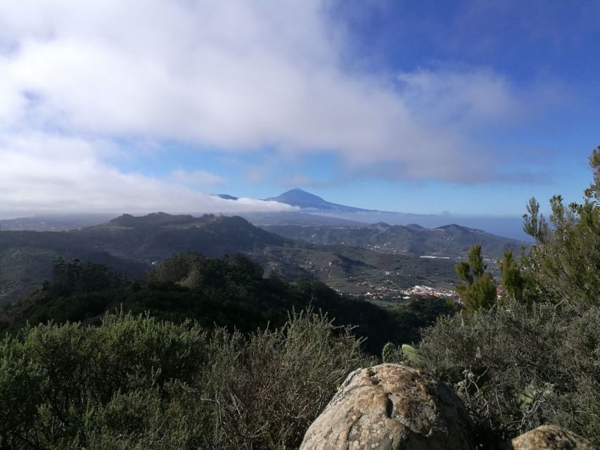 Santa Cruz de Tenerife: 2-Hour Hiking Tour in Anaga Forest - Who Will Love This Tour?