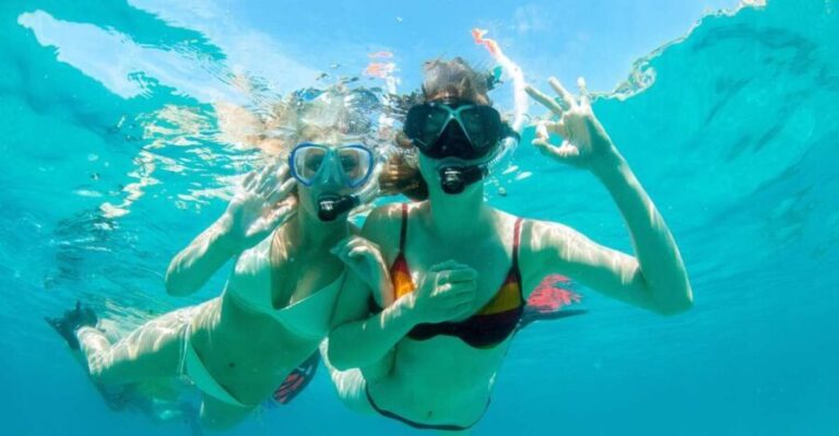 Santa Ponsa: Snorkeling Tour in a Marine Reserve - Who Will Love This Tour?