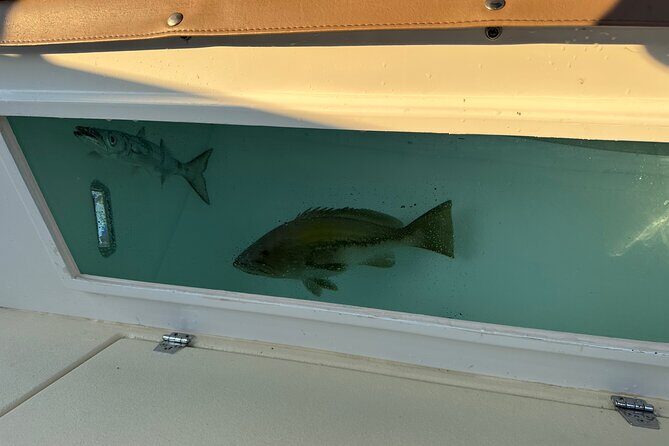 Santorini Fishing Private Cruise boat tour - BBQ, Snorkeling - The Experience for Different Travelers