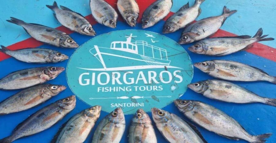 Santorini: Traditional Fishing Trip and Fresh Fish Lunch - The Itinerary: What to Expect on Your Santorini Fishing Day