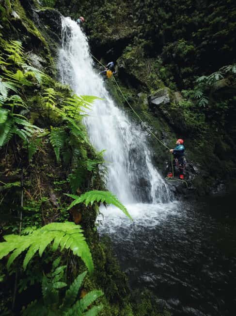 São Miguel: Level 1 Canyoning in Ribeira dos Caldeirões - The Value of This Tour