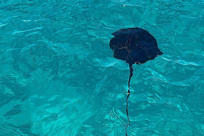 Saranda: Riviera Secrets, Cruise to Krorez and Turquoise Bays - What to Expect and Practical Tips