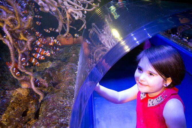 SEA LIFE Birmingham Admission Ticket - What Are the Pros and Cons Based on Visitor Feedback?
