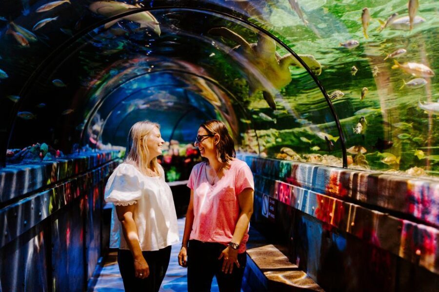 Sea Life Brighton Admission Ticket - Who Will Love This Experience?