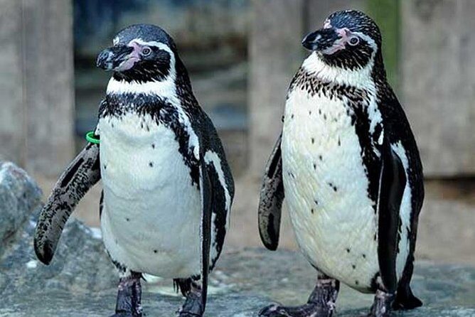 SEA LIFE Great Yarmouth General Admission - Who Should Visit SEA LIFE Great Yarmouth?