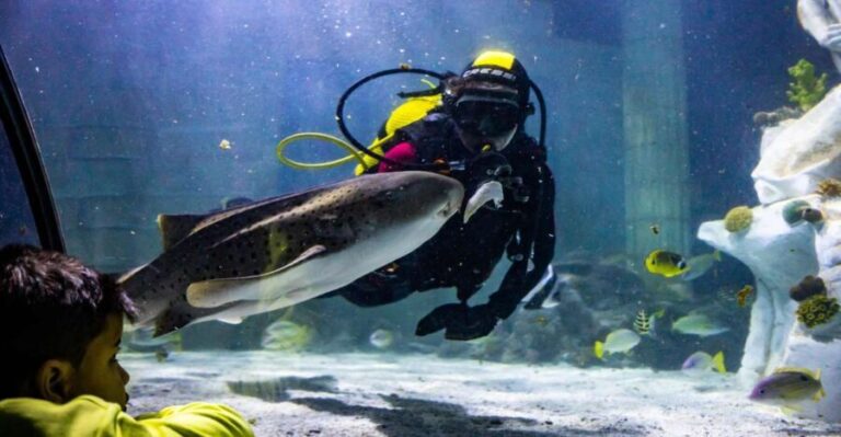 SEA LIFE Porto Full-Day Entrance Ticket - Practical Tips for Your Visit