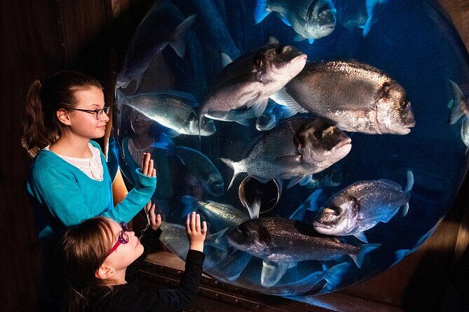 SEA LIFE Speyer Admission Ticket - Practical Tips for Your Visit