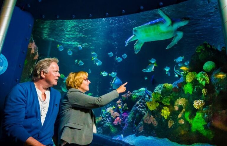 SEA LIFE Timmendorfer Strand Ticket - Who Is This Experience Best For?