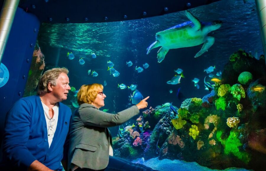 SEA LIFE Timmendorfer Strand Ticket - Who Is This Experience Best For?