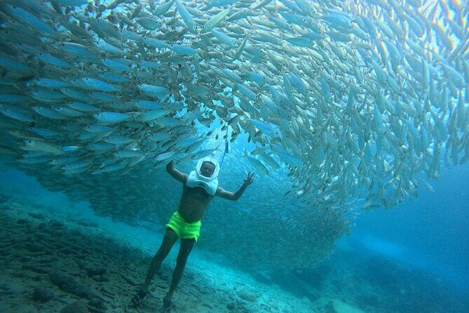 Sea Trek Underwater Walk in Tenerife  No Swimming Required - The Itinerary: Breaking It Down