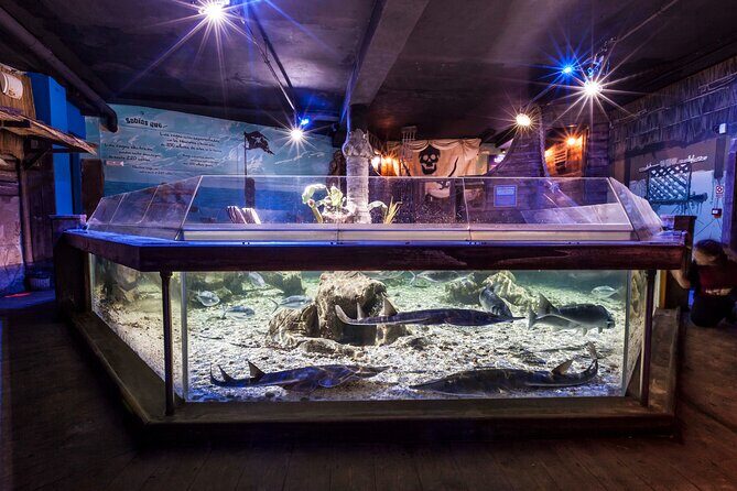 Sealife Benalmadena Entrance Ticket - Practical Details: Timing and Group Size