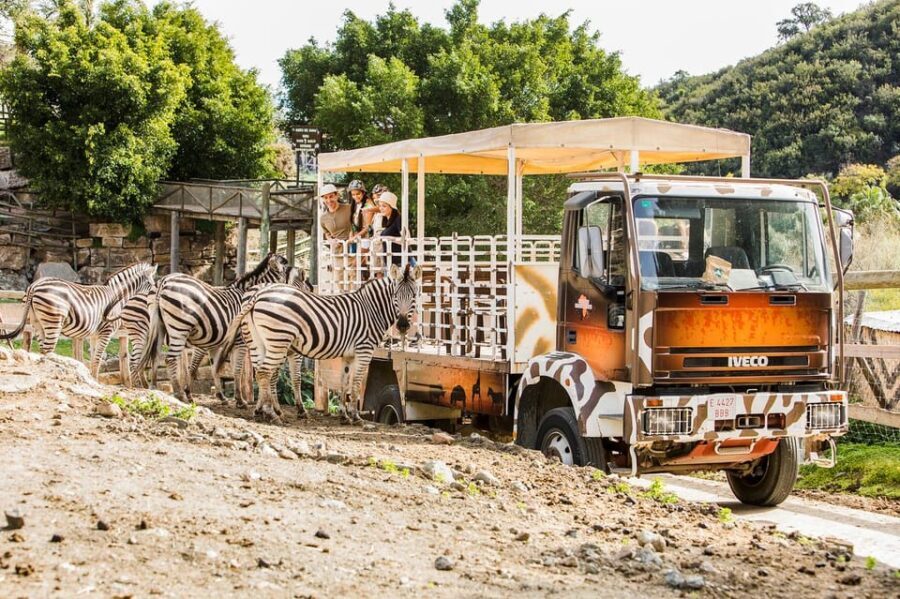 Selwo Aventura Admission Ticket with Skip-the-Line Access - A Closer Look at the Experience