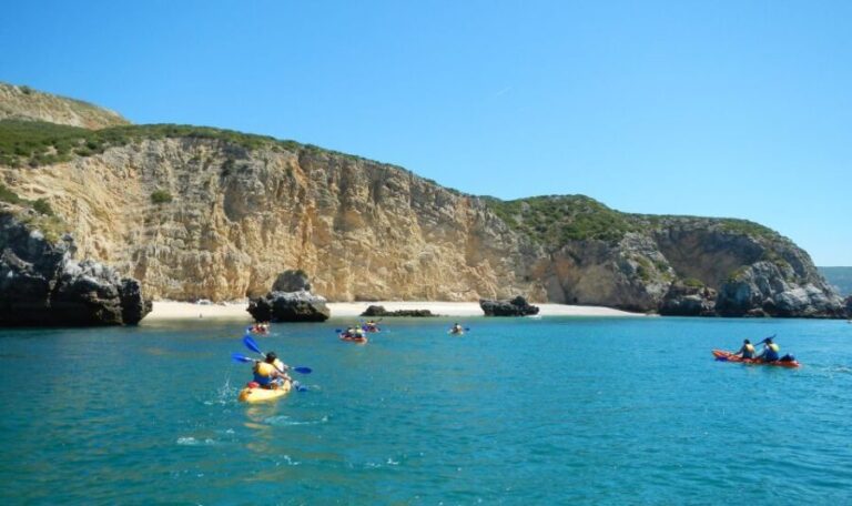 Sesimbra: Arrábida Natural Park Guided Kayaking Tour - What Makes This Kayaking Tour Special?