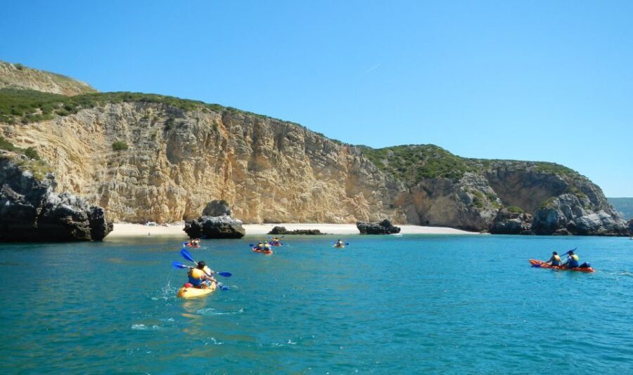 Sesimbra: Arrábida Natural Park Guided Kayaking Tour - What Makes This Kayaking Tour Special?