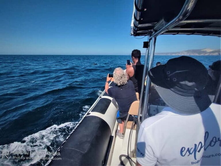 Sesimbra: Dolphin and Whales Watching with Biologist Guide - Pricing and Overall Value