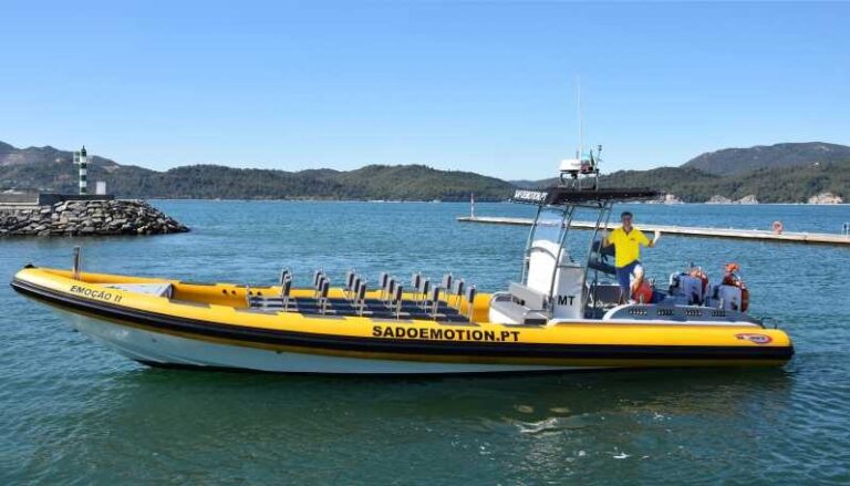 Setúbal and Tróia: Dolphin Watching and Arrábida Bays - Search for Dolphins and Wildlife