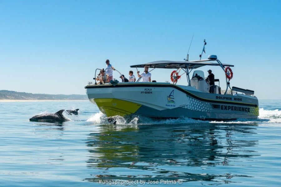 Setúbal: Dolphin Watching Boat Tour - What Makes This Dolphin Watching Tour Special?