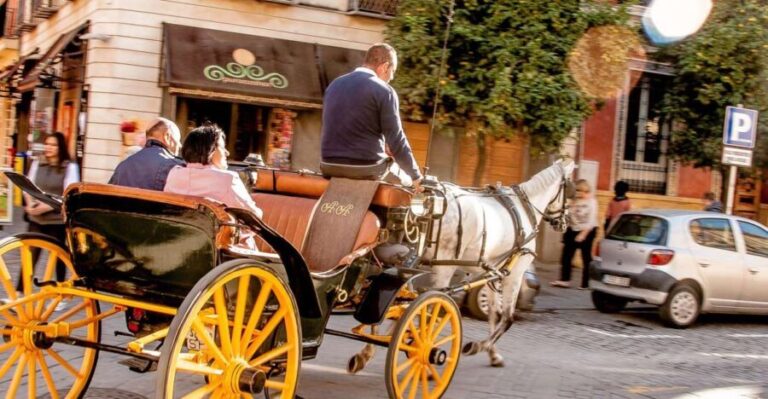 Seville: Authentic and Romantic Horse-Drawn Carriage Ride - The Practicalities