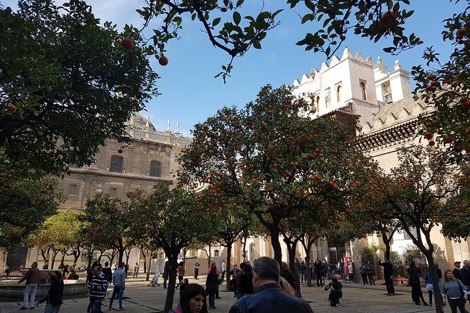 Seville Cathedral Tour including tickets and skip the line entry - What Travelers Say About This Experience